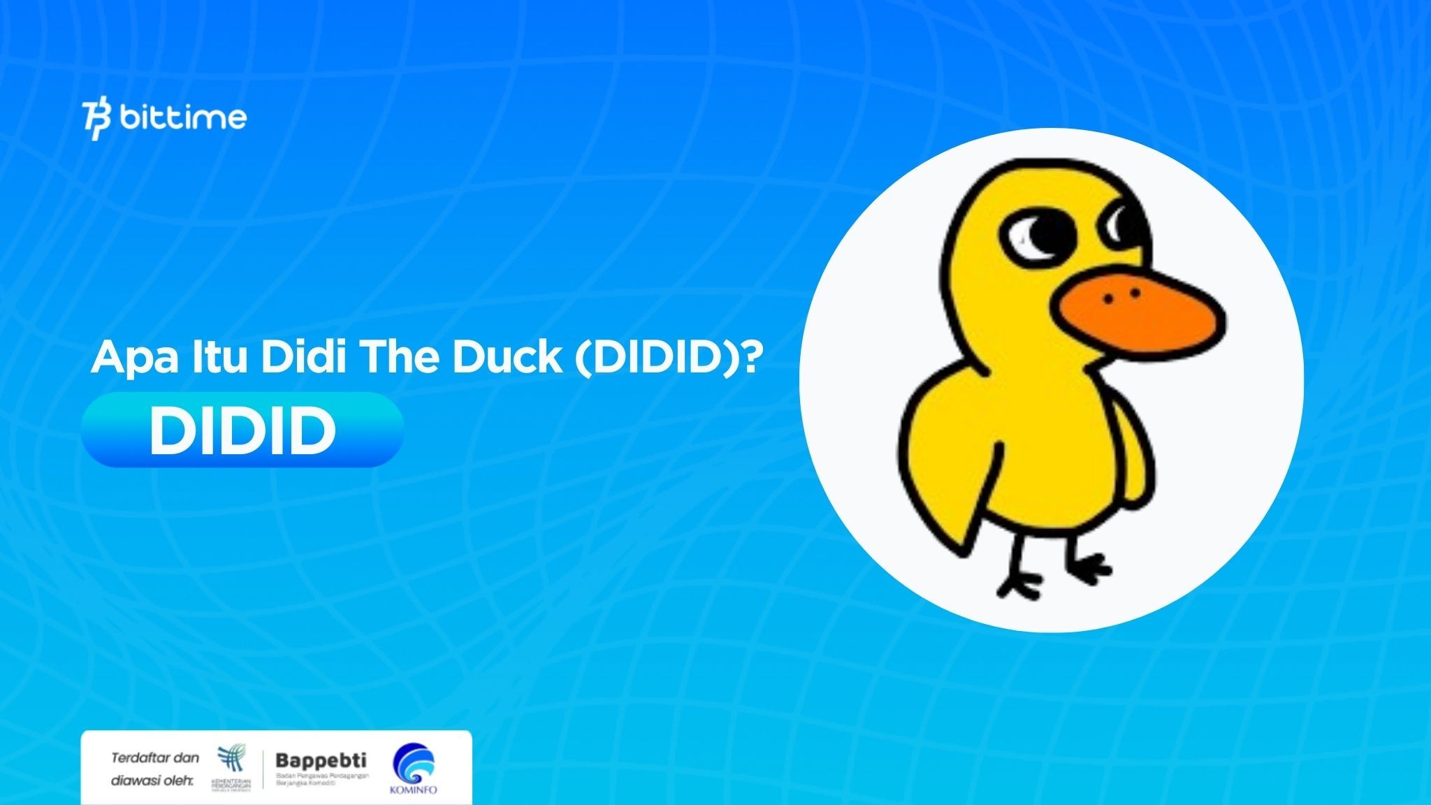 Apa Itu Didi The Duck (DIDID)? Menggabungkan Nostalgia Meme dengan ...