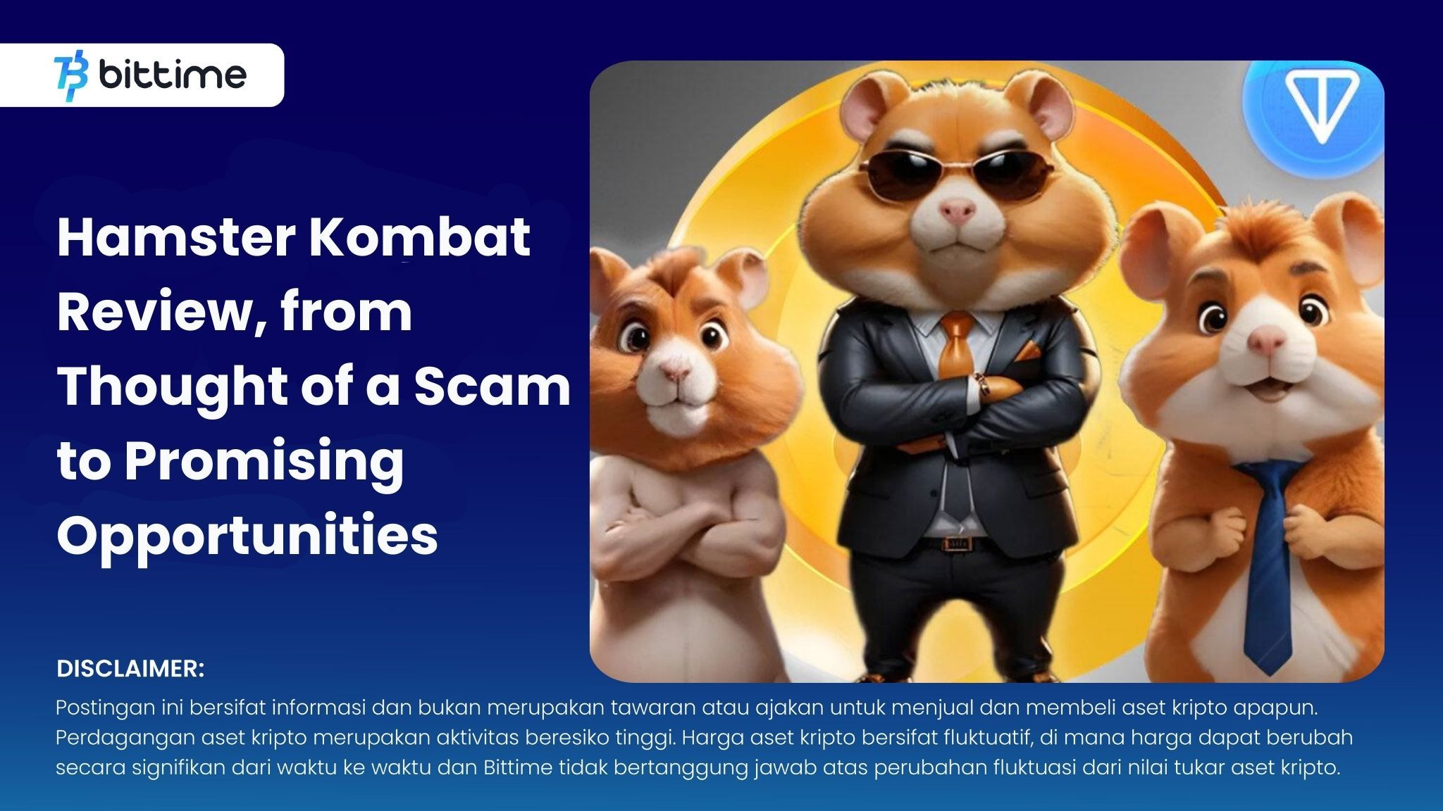 Hamster Kombat Review, from Thought of a Scam to Promising Opportunities