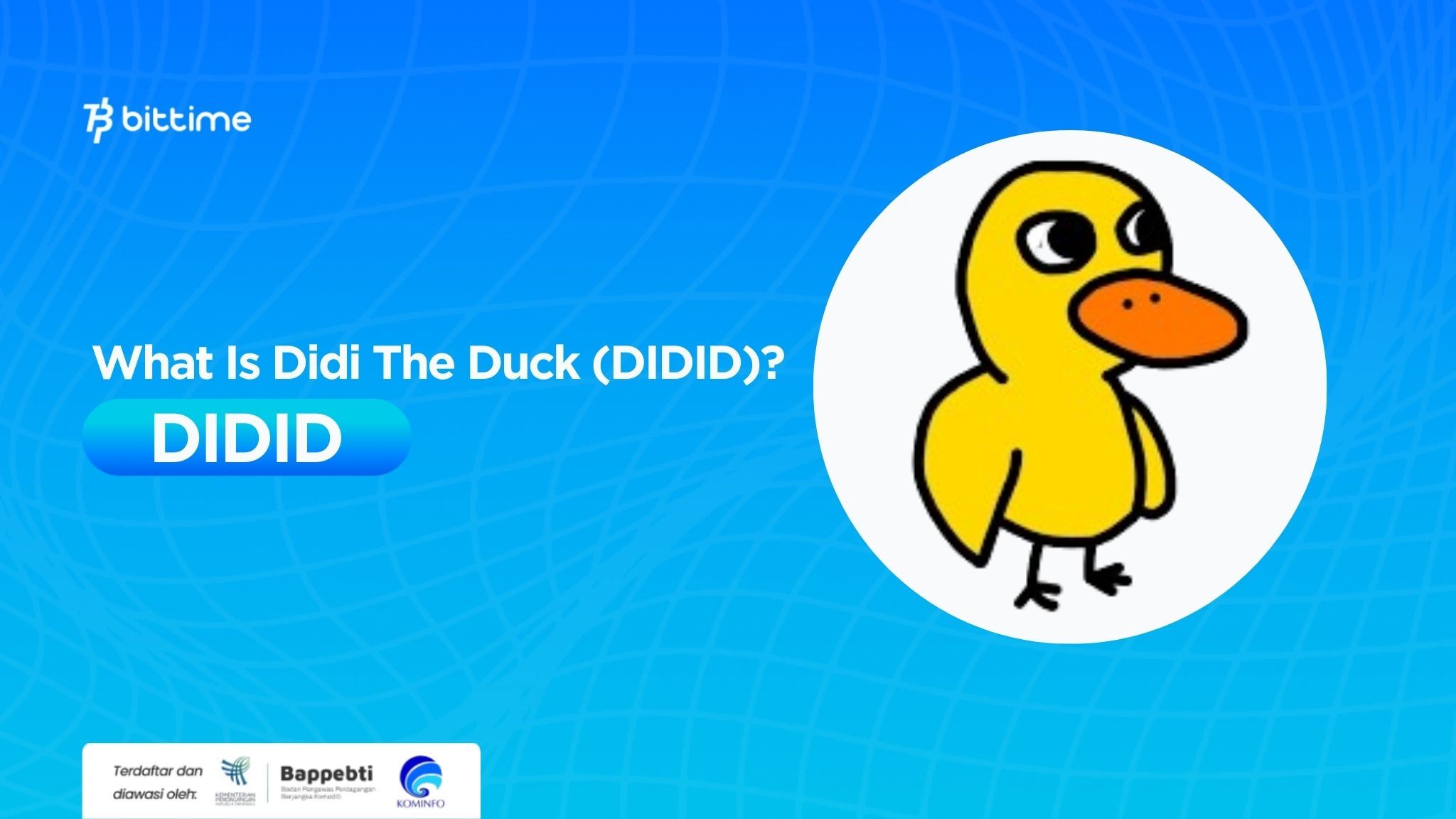 What Is Didi The Duck (DIDID)? Combining Meme Nostalgia with Modern Utility